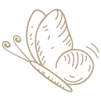 GARDEN FEATURES - Spohr Gardens